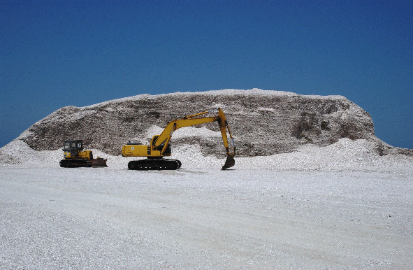 The concept of Bionic Design